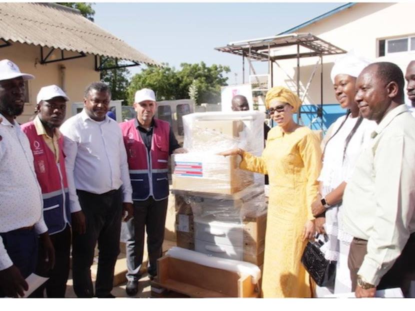 Qatar Charity Supports Health Sector in Gambia - Fana News